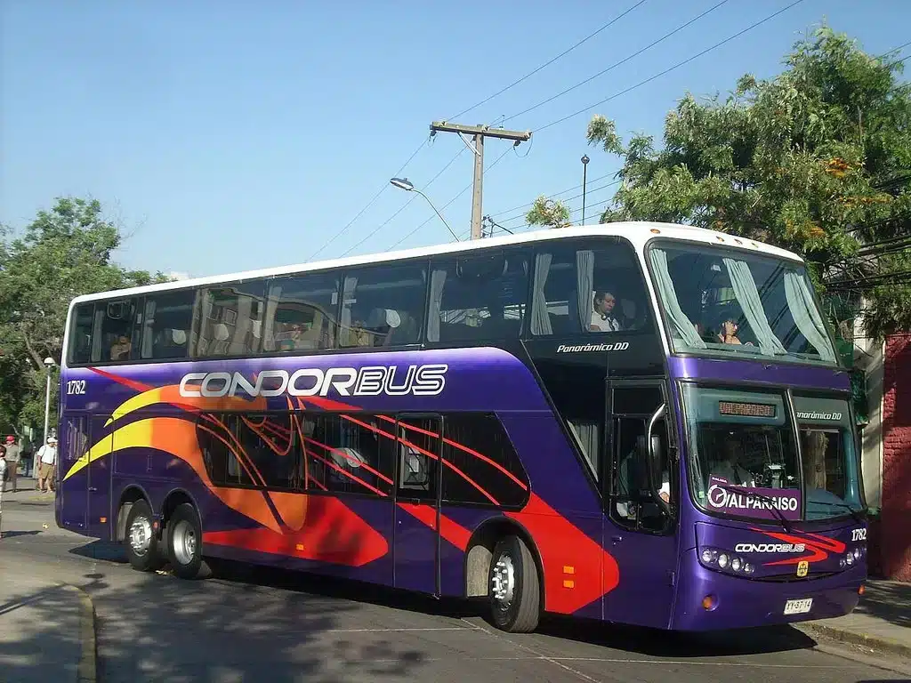 Cóndor Bus Chile: Teléfono para Asistencia y Reclamos