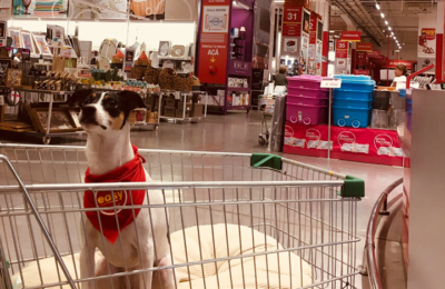 Fono Chile - Teléfonos de Atención al Cliente.